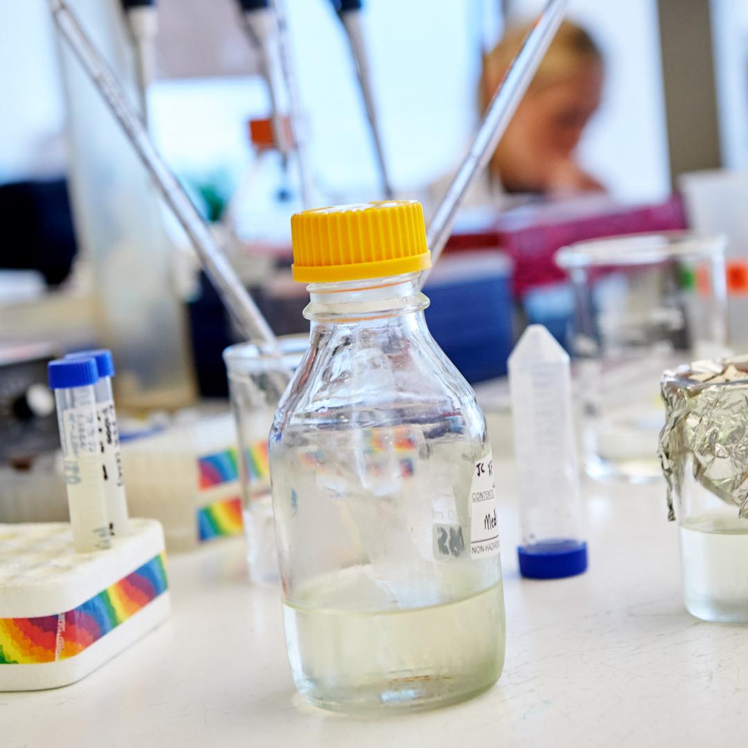 Colton Center for Autoimmunity Research | NYU Langone Health