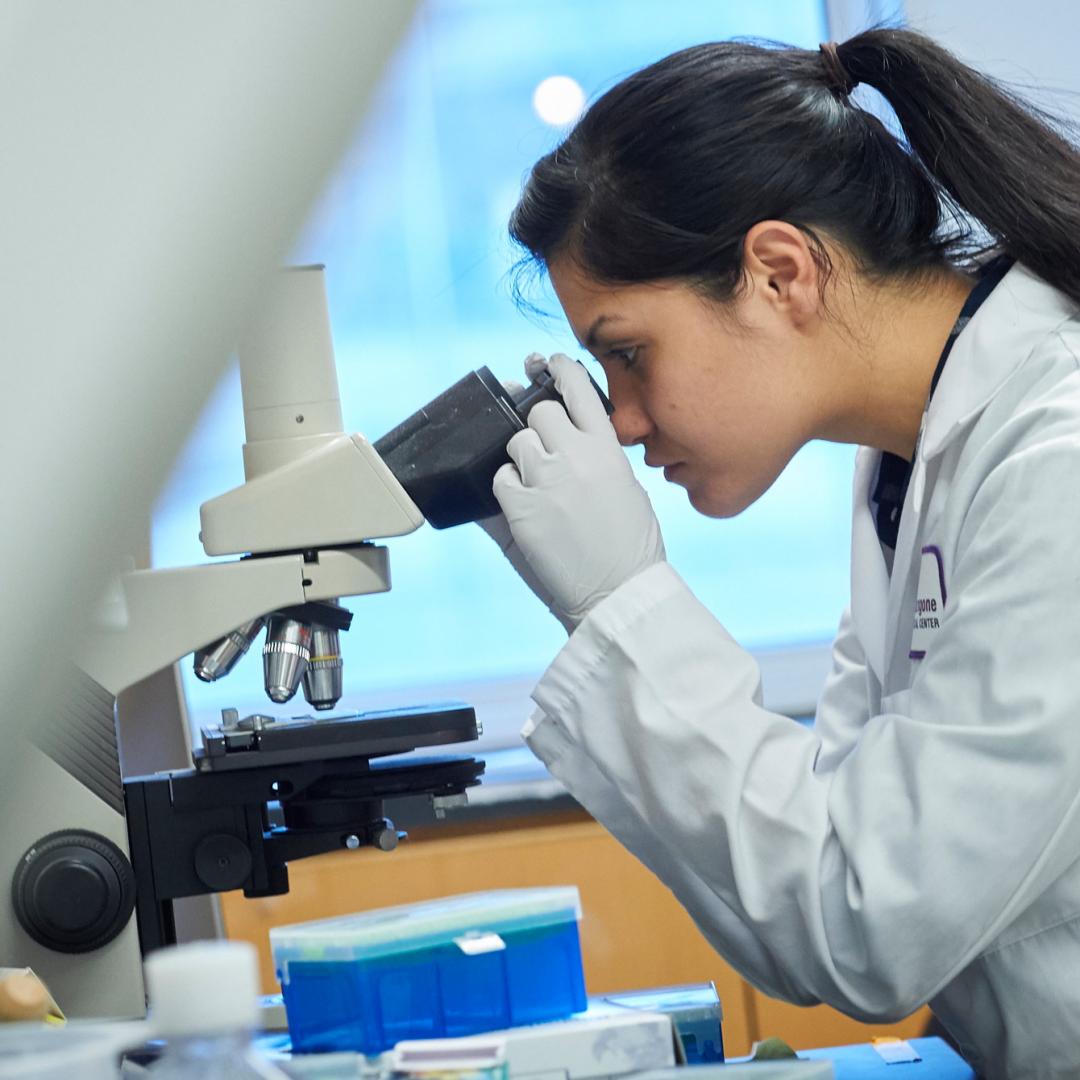 Center for Human Genetics & Genomics | NYU Langone Health