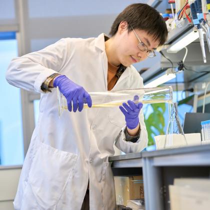 Center for Human Genetics & Genomics | NYU Langone Health