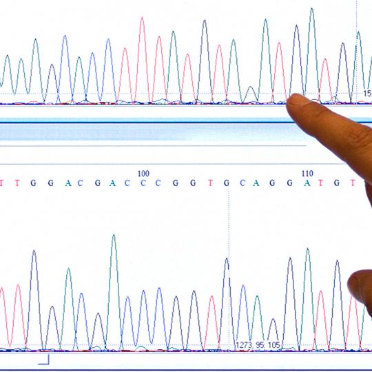 Center for Human Genetics & Genomics | NYU Langone Health
