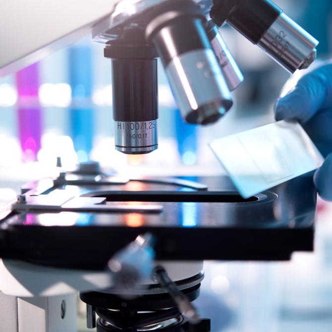 Center for Human Genetics & Genomics | NYU Langone Health