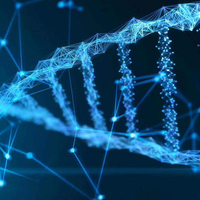 Center for Human Genetics & Genomics | NYU Langone Health