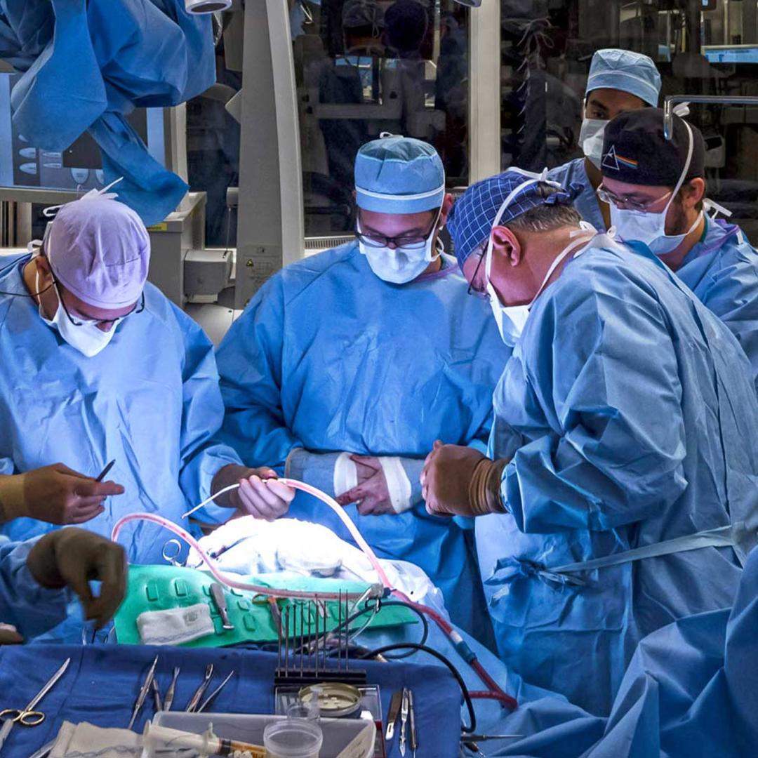 Department of Anesthesiology, Perioperative Care & Pain Medicine | NYU ...