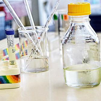 Department of Biochemistry & Molecular Pharmacology | NYU Langone Health