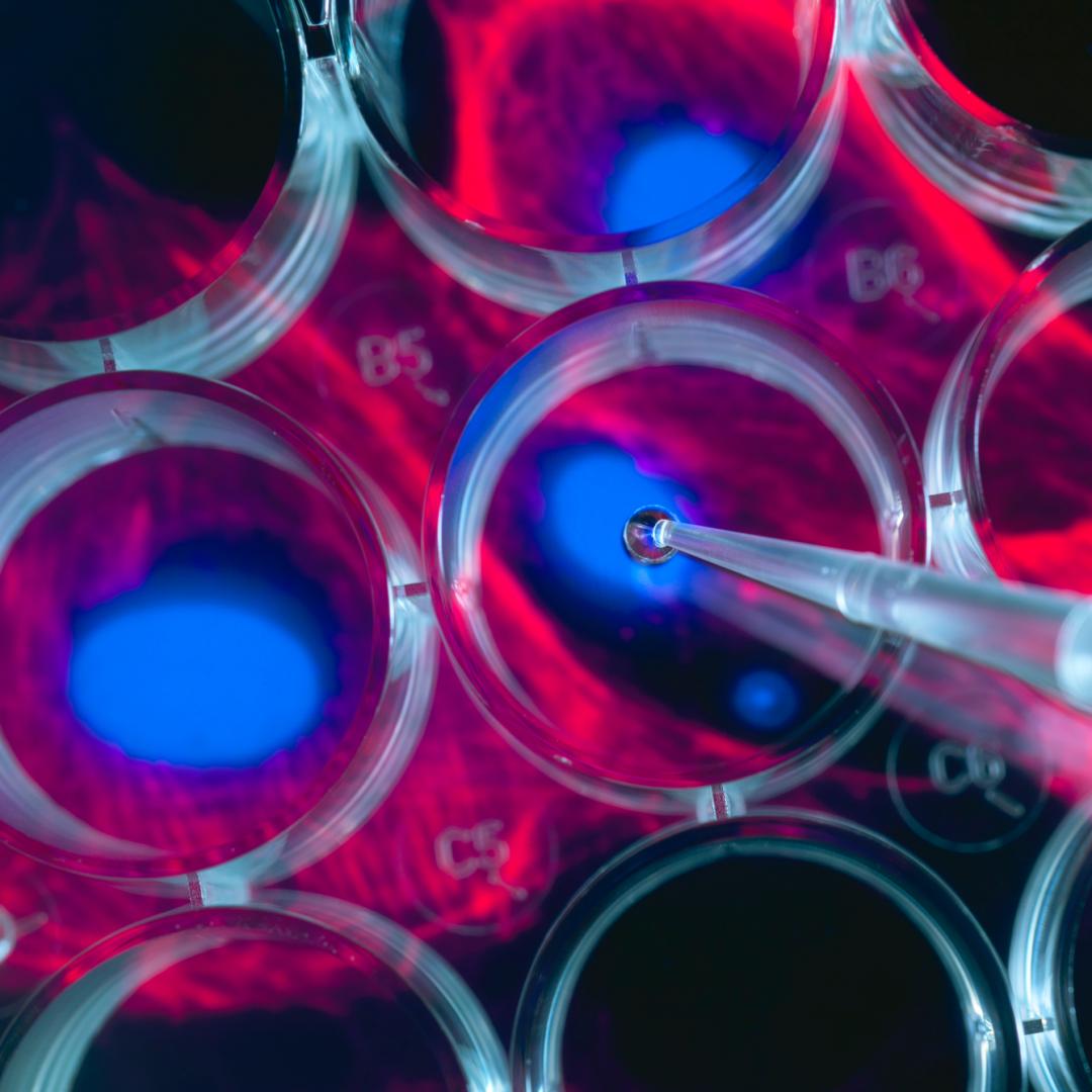 Department of Cell Biology Events | NYU Langone Health