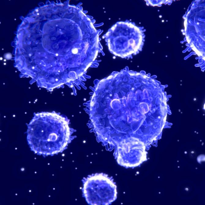 Department of Cell Biology | NYU Langone Health