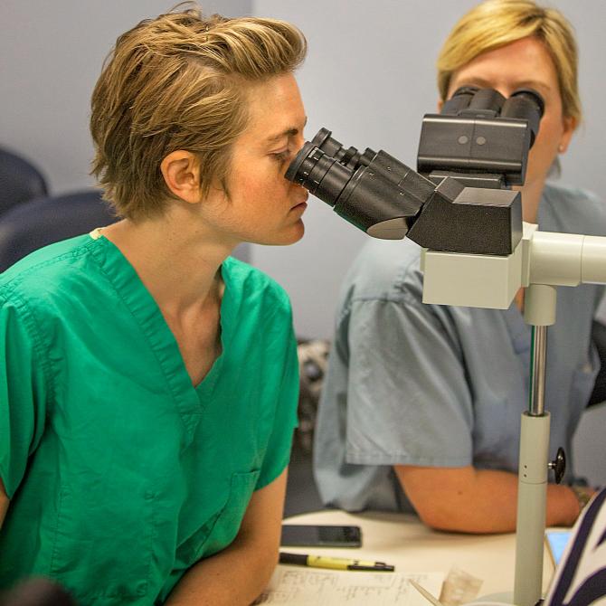 Department of Dermatology Research—Cutaneous Biology Program | NYU Langone Health