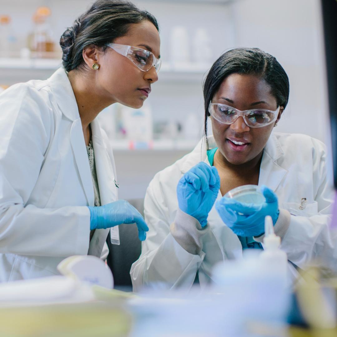 Division of Environmental Medicine | NYU Langone Health