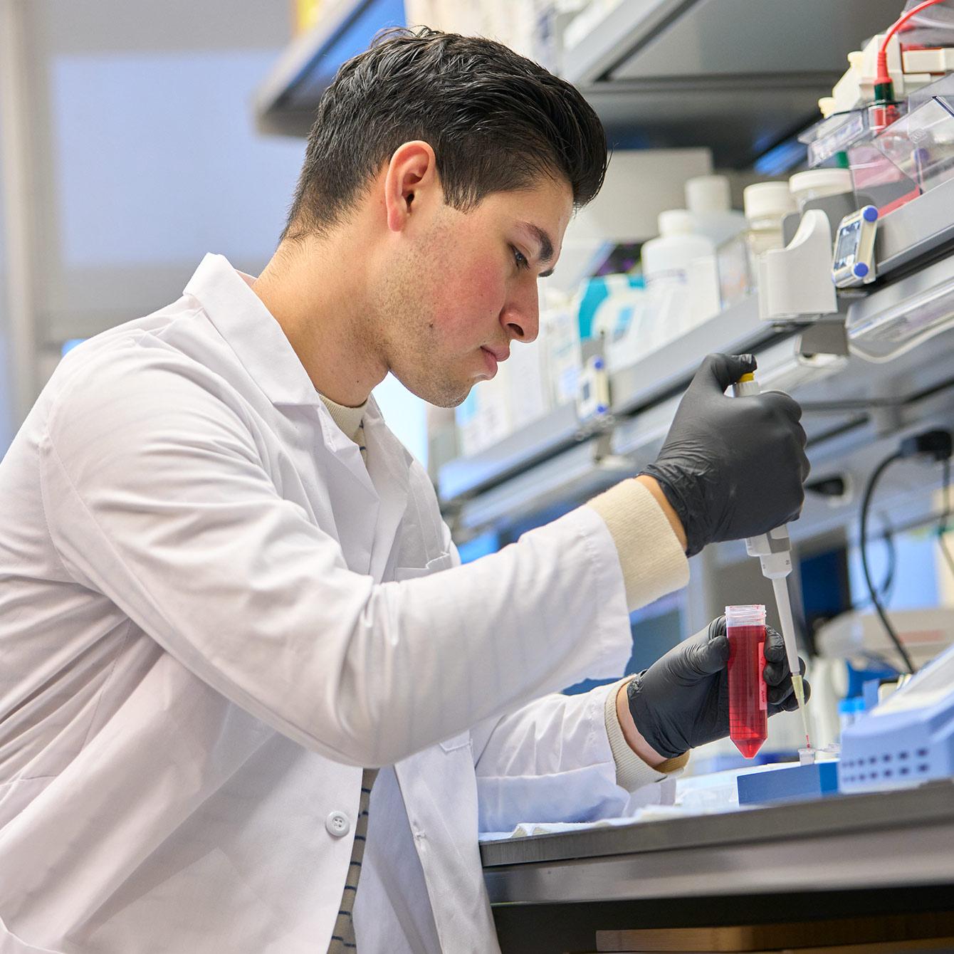 Division of Environmental Medicine Research | NYU Langone Health