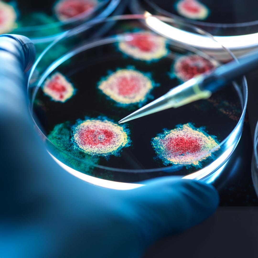 Department of Microbiology Faculty | NYU Langone Health