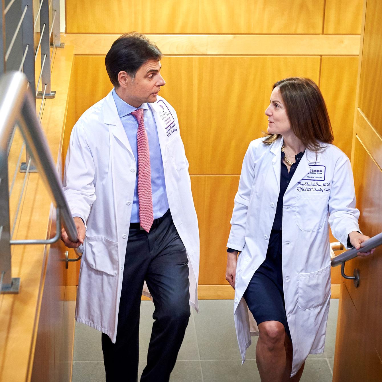 Department of Obstetrics & Gynecology Divisions | NYU Langone Health