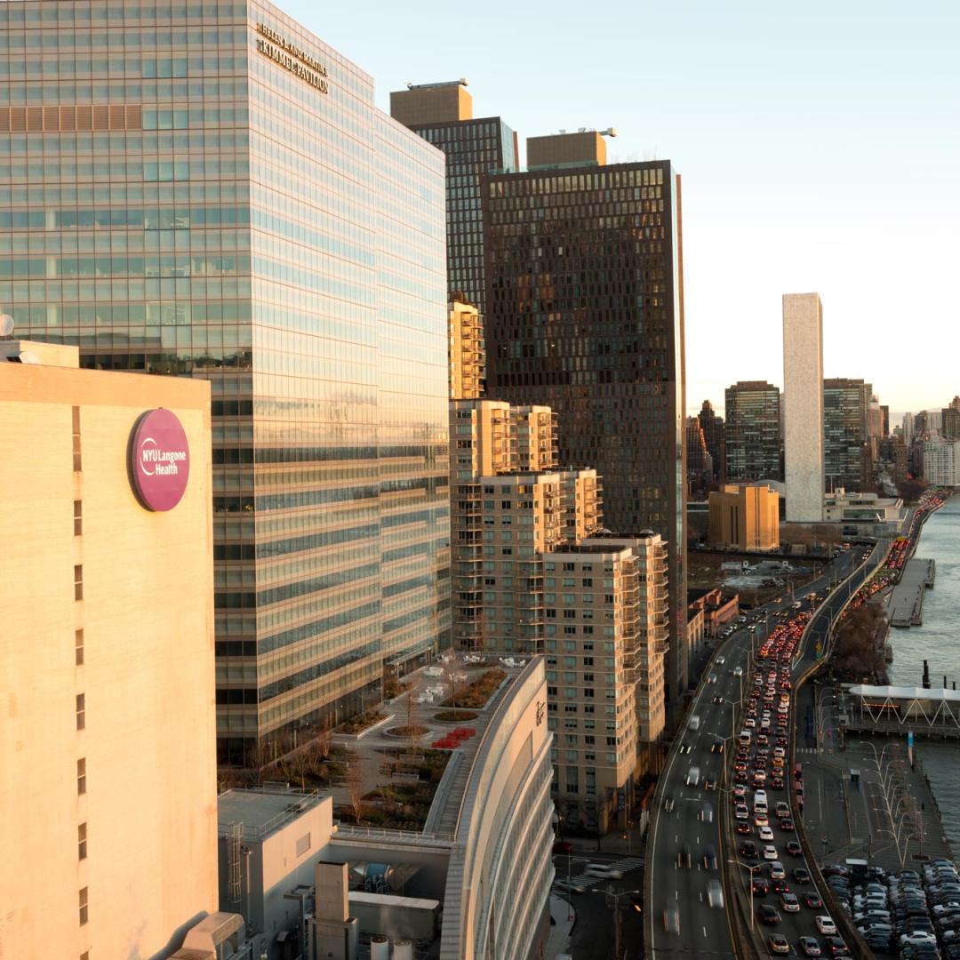 Zoster Eye Disease Study | NYU Langone Health