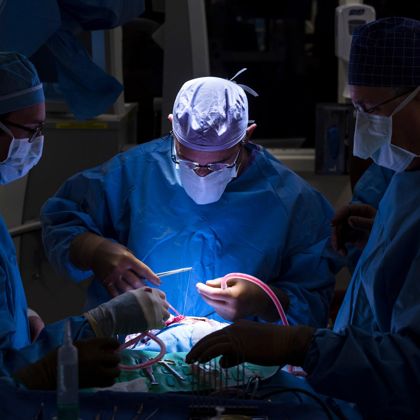 Department of Otolaryngology—Head & Neck Surgery Divisions & Centers ...