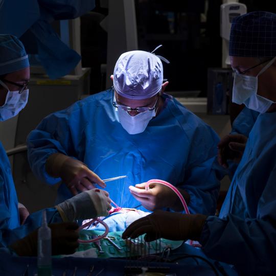 Department of Otolaryngology—Head & Neck Surgery Divisions & Centers ...