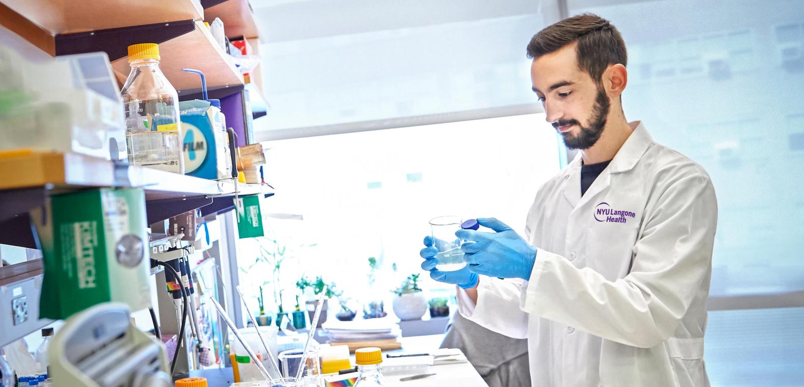 Pathology Phd Training Programs Nyu Langone Health