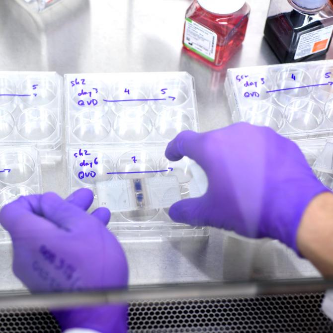 Hansjörg Wyss Department of Plastic Surgery | NYU Langone Health