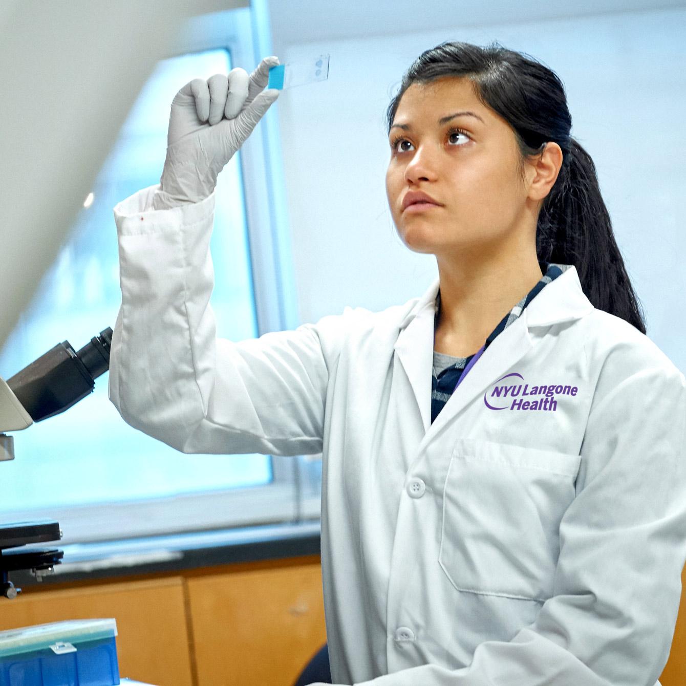 Division of Epidemiology | NYU Langone Health