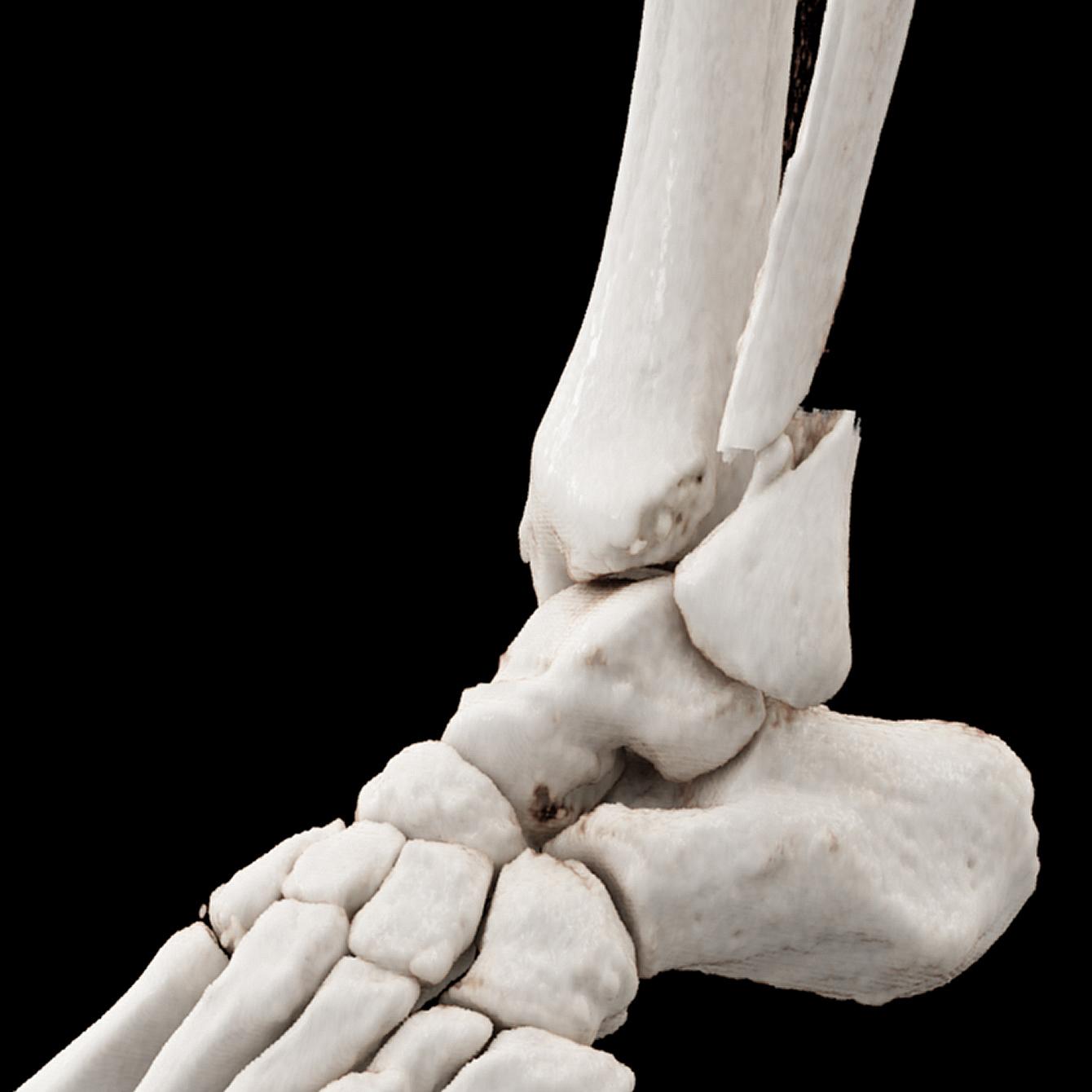 Department of Radiology Divisions | NYU Langone Health