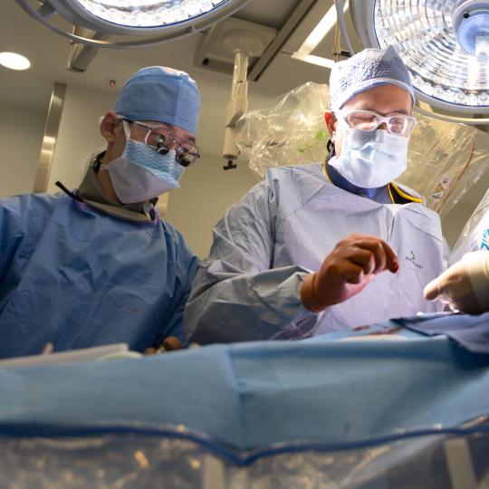 Division of Vascular & Endovascular Surgery | NYU Langone Health