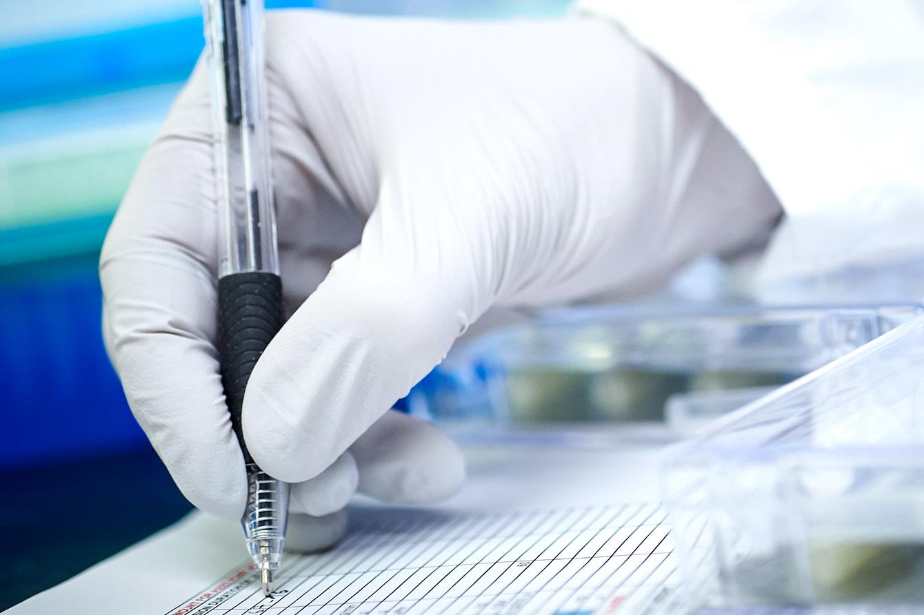 Transplant Institute Education & Research | NYU Langone Health