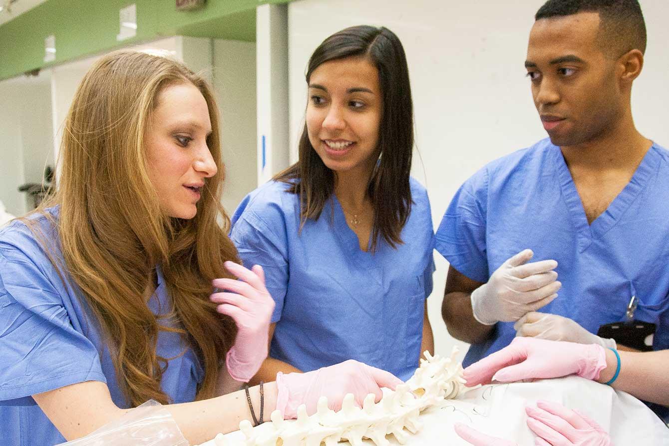 MD Degree | NYU Langone Health