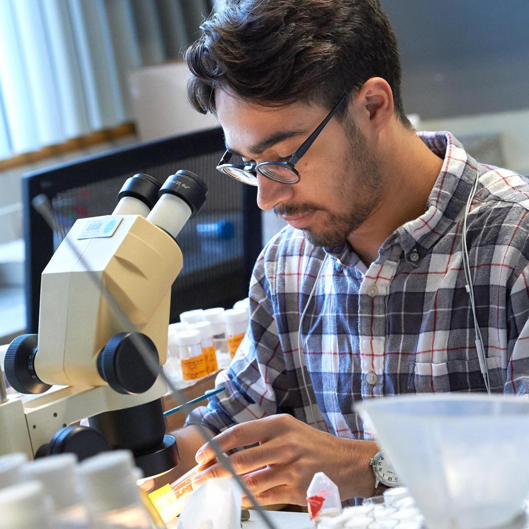 Diversity & Inclusion | NYU Langone Health Diversity & Inclusion | NYU Langone Health
