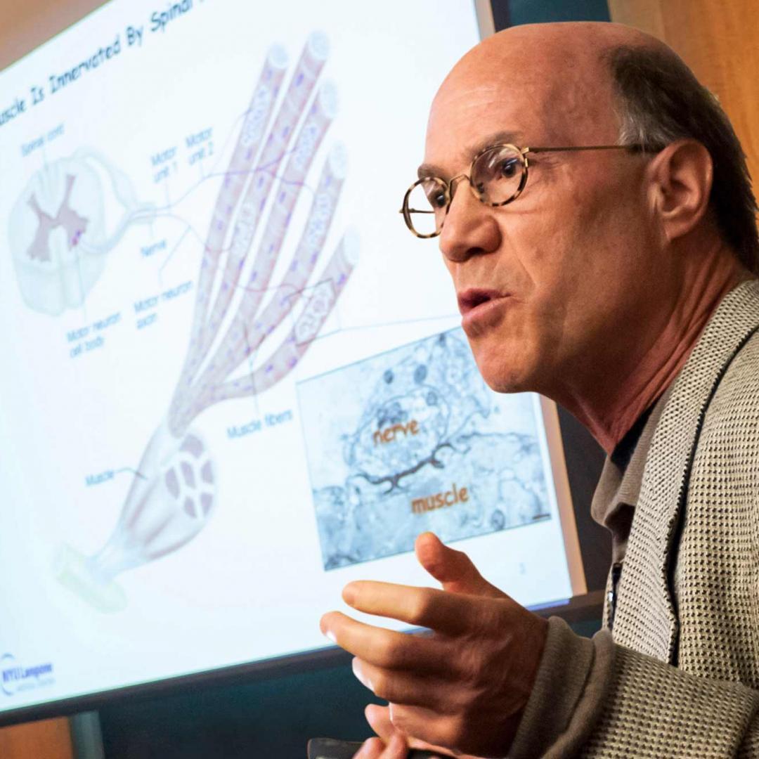 Developmental Genetics | NYU Langone Health