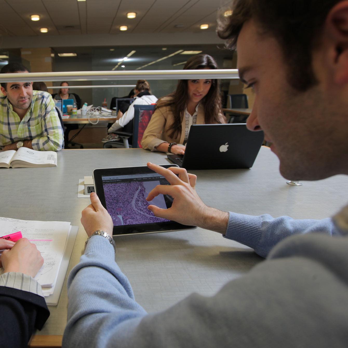 Biostatistics | NYU Langone Health