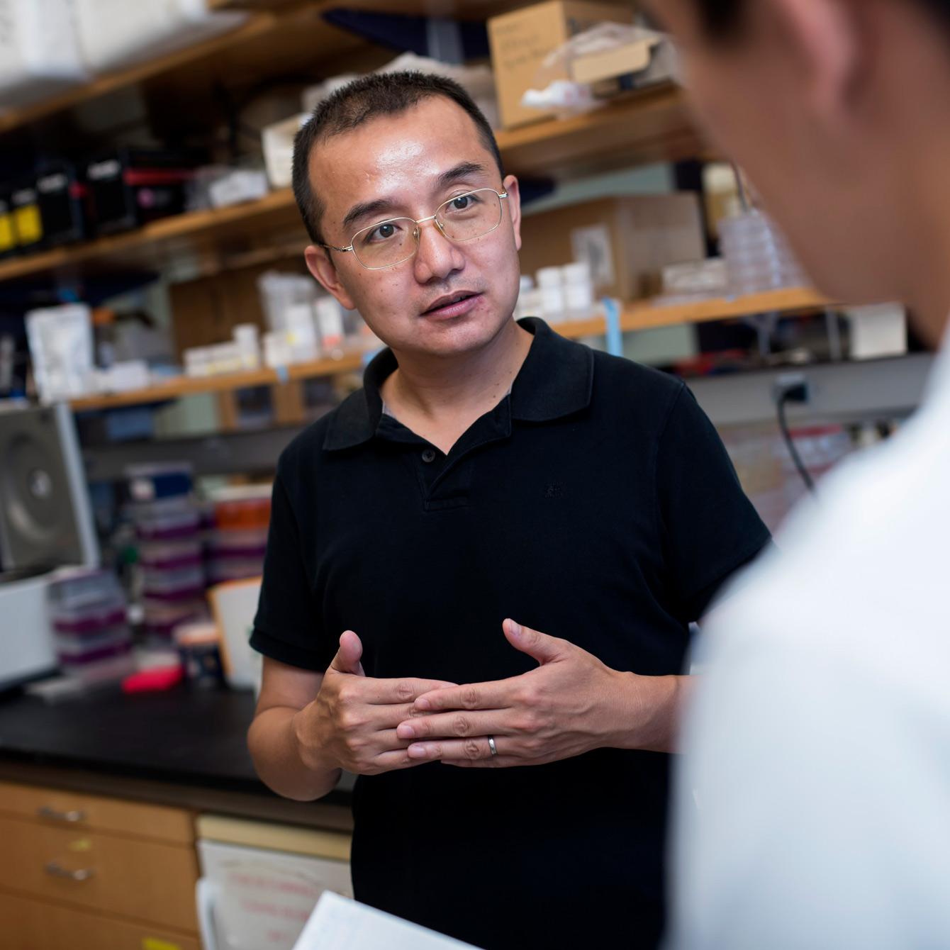 Biochemistry and Molecular Biophysics | NYU Langone Health