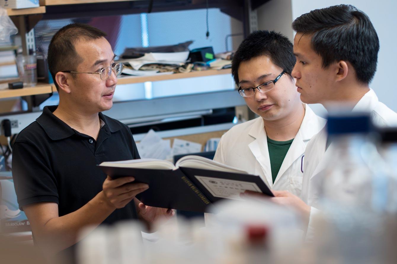 Education | NYU Grossman School of Medicine | NYU Langone Health