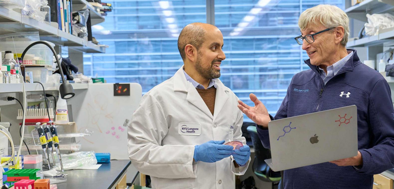 Research | NYU Langone Health Research | NYU Langone Health