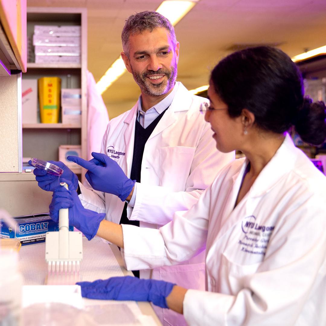 Education & Research at NYU Langone Health | NYU Langone Health